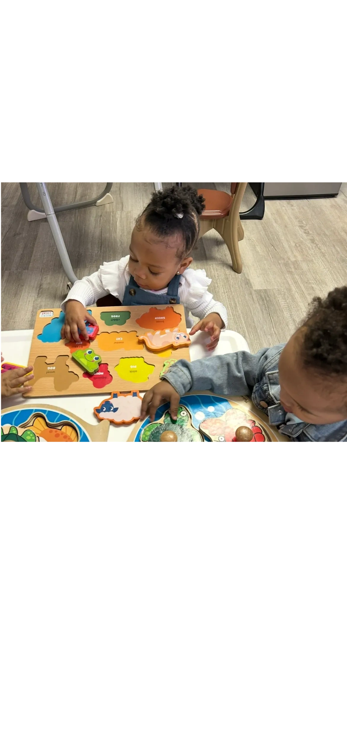 Creative Imagination Scholars
