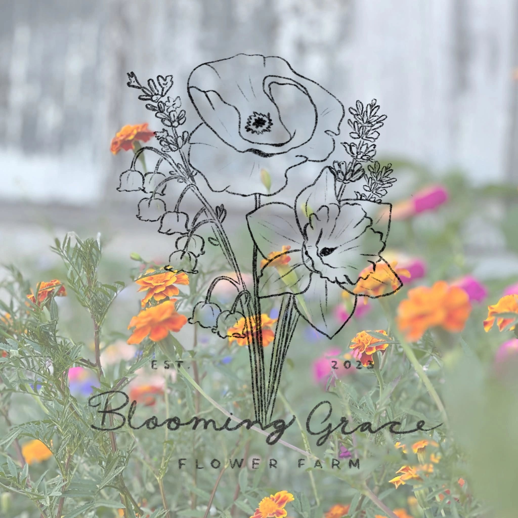 Blooming Grace Flower Farm
