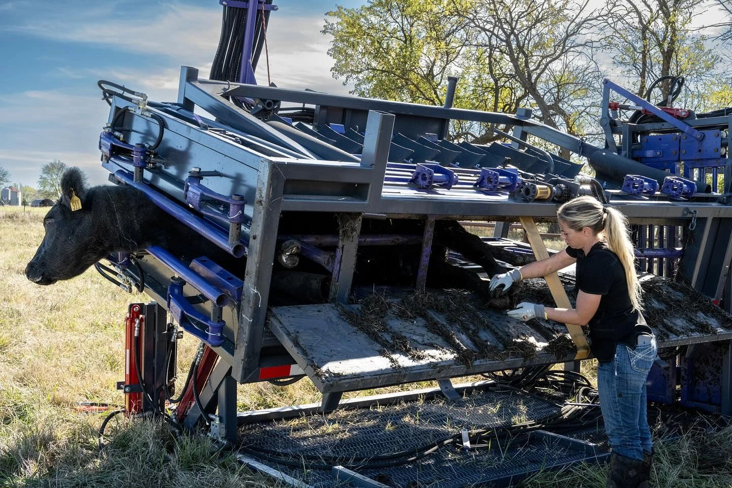 Dr. Hailey Mueller Veterinary Services - Home