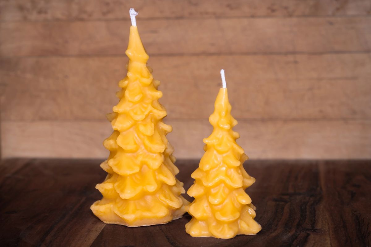 Pine Tree Candles