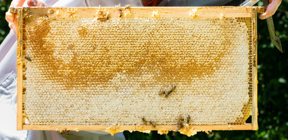 Honey