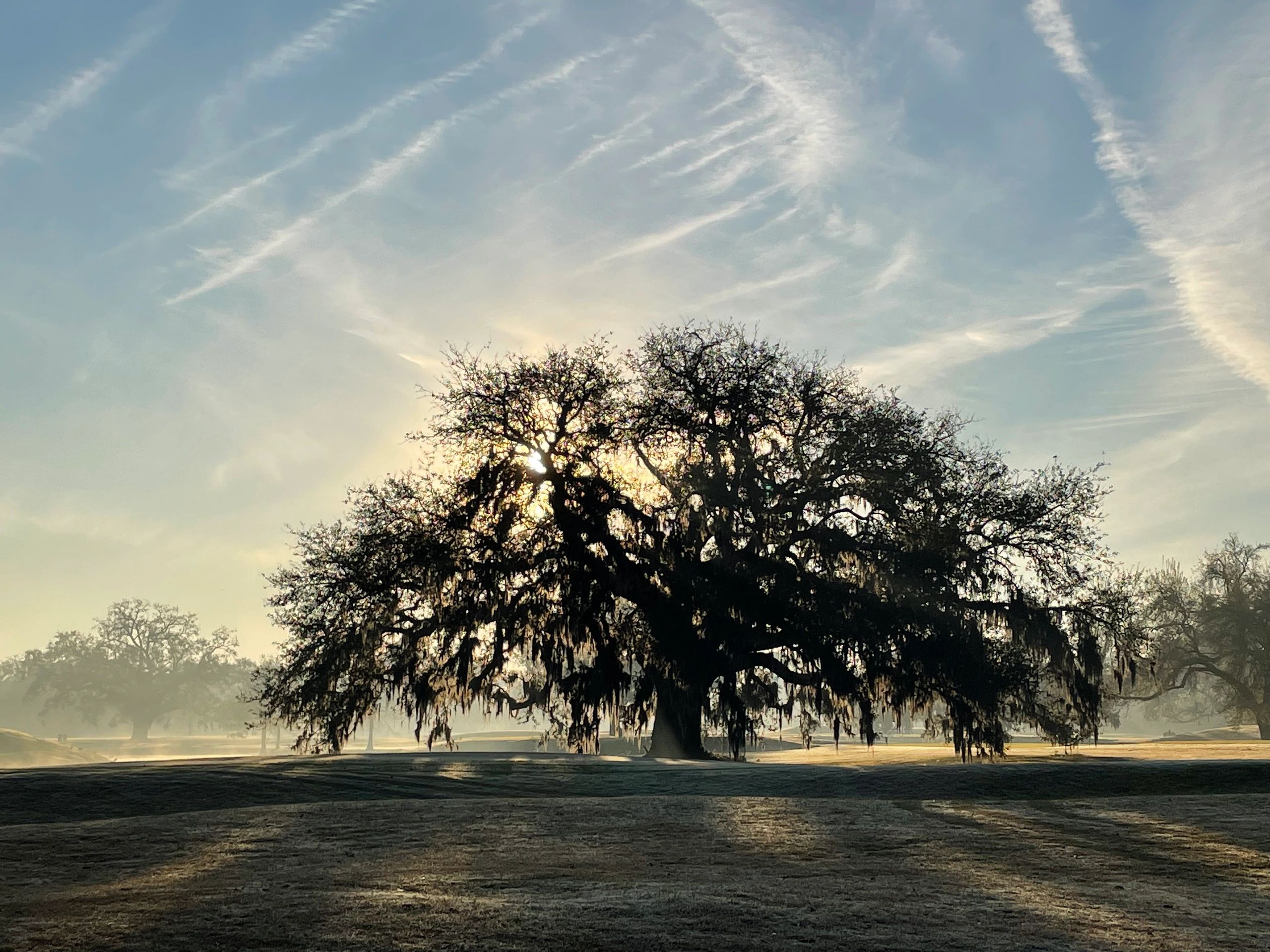 Stratton James: Expert Market Research for Real Estate