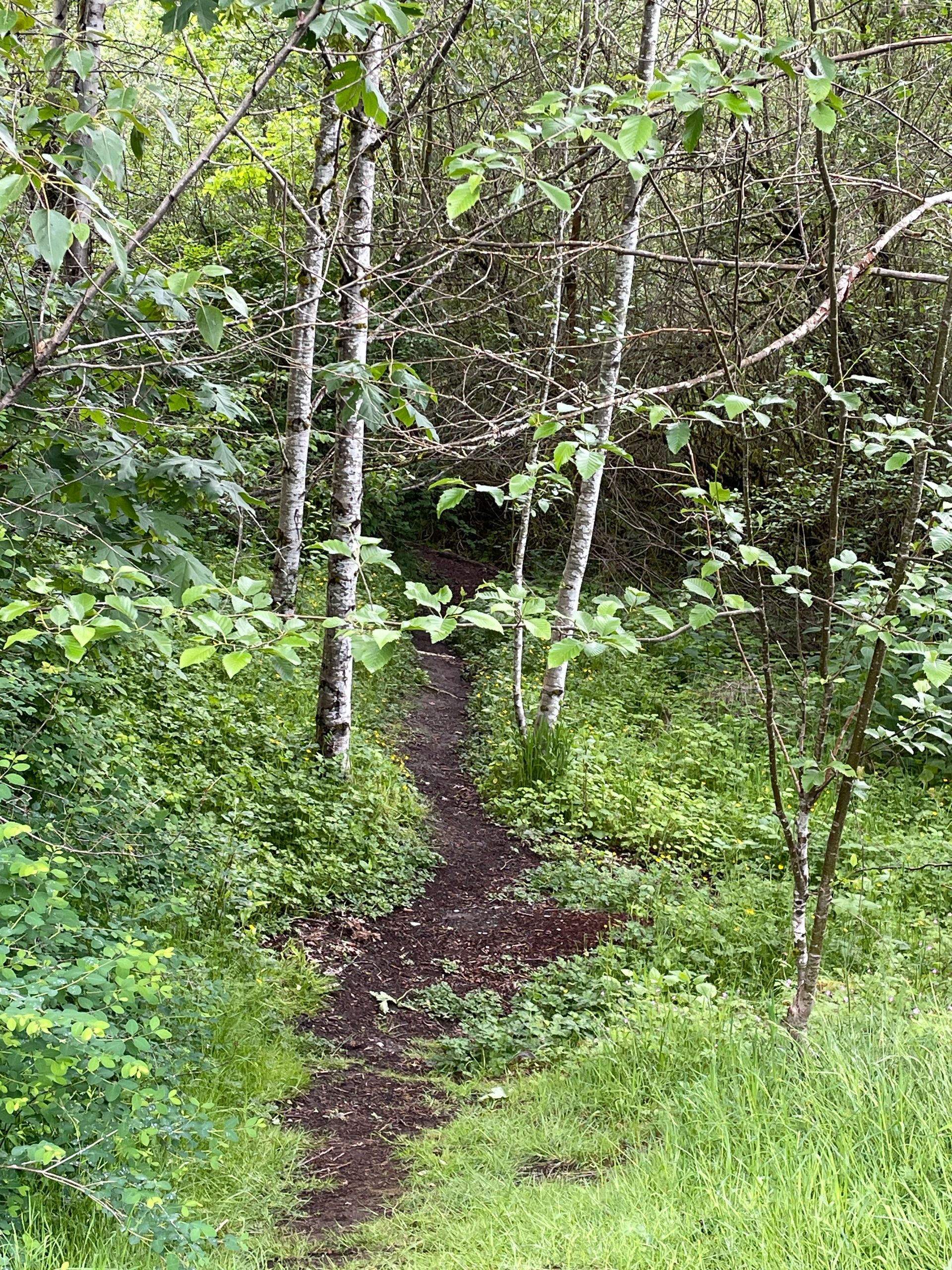 Aaron Hoffman Work Resume