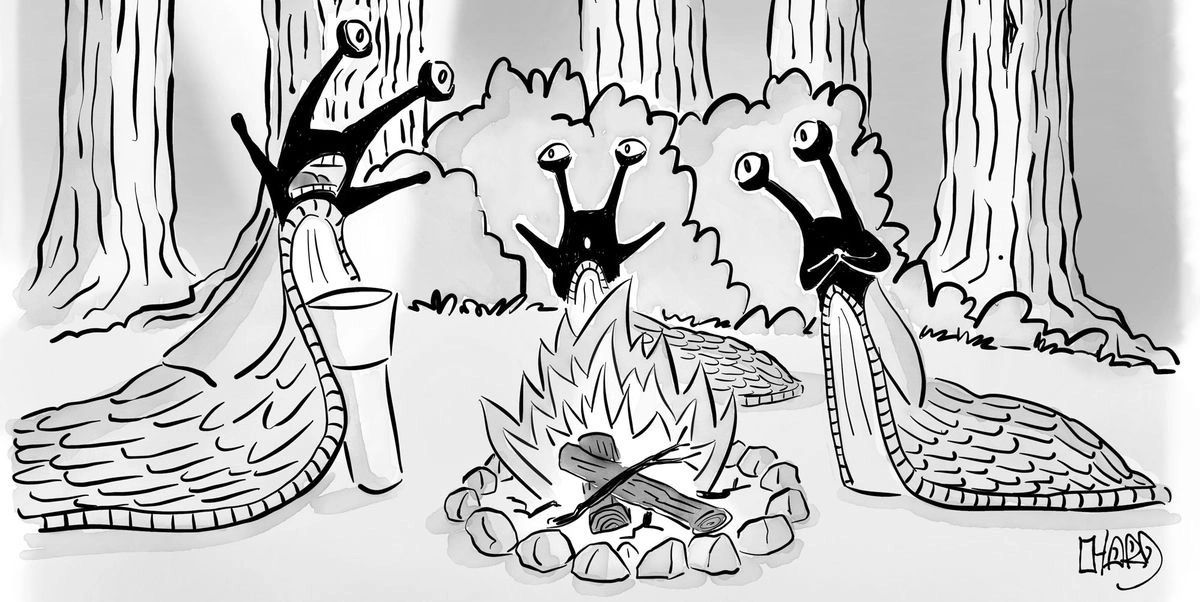 Hardtoons - Cartoonist, Cartoons