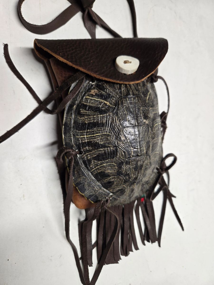 Red Eared Turtle Shell Medicine Pouch