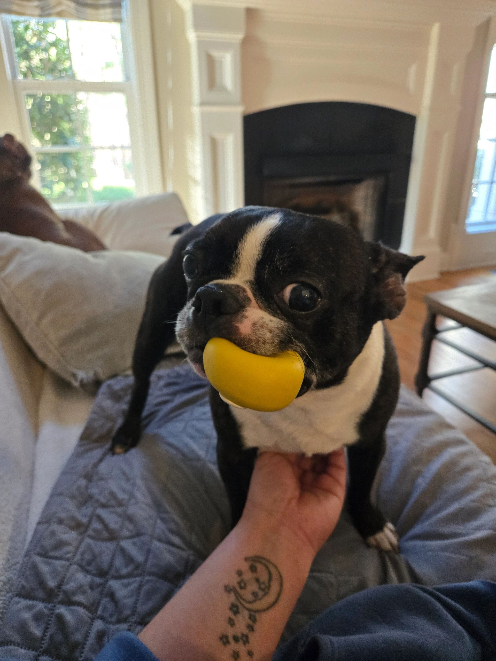 Learning more about mari's critter care