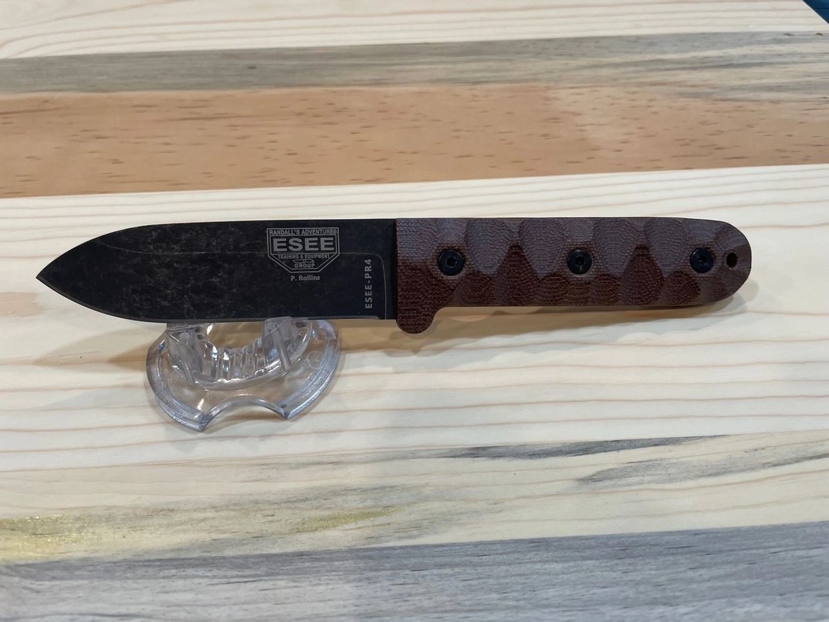 ESEE-PR4