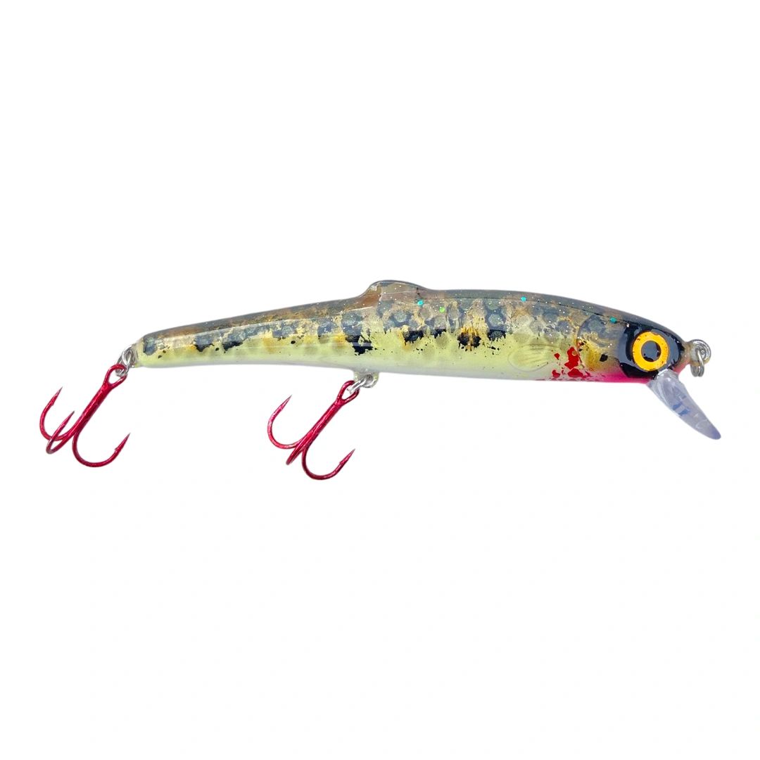Yaleye-Fish Mooneye Minnow "Sucker"