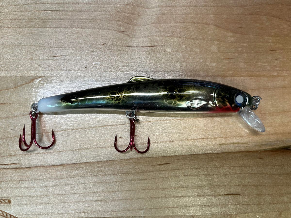 Yaleye-Fish Baby walleye