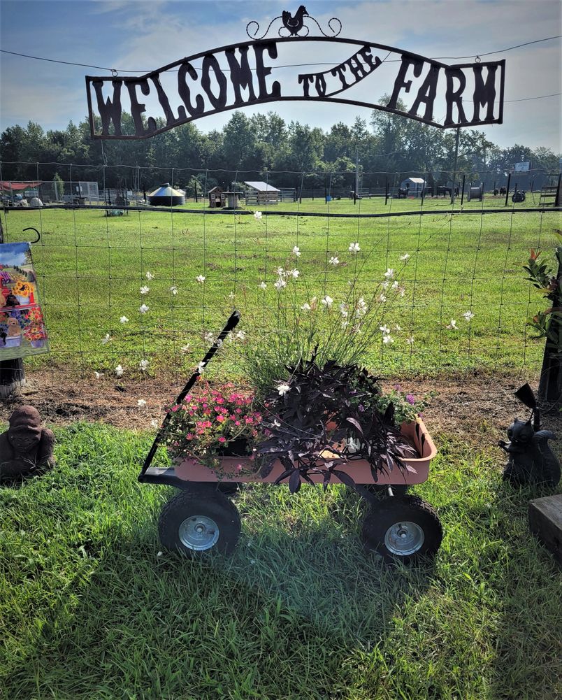 Agape Farm: Book a Tour With Us -Agriculture Tourism