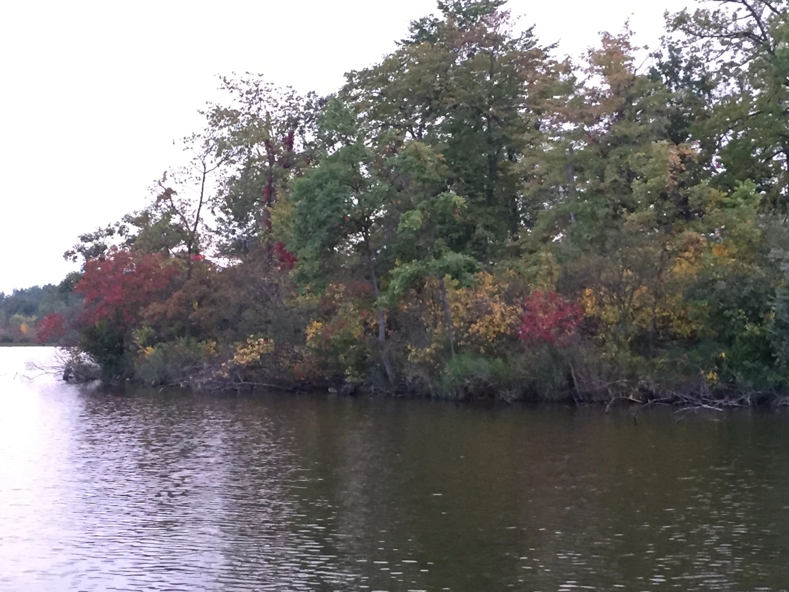 Natural Shorelines Forever