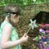 Hopedale Fairy Walk | Friends of Historic Hopedale