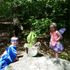 Hopedale Fairy Walk | Friends of Historic Hopedale