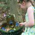 Hopedale Fairy Walk | Friends of Historic Hopedale