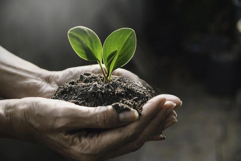 Mutrah Insofoam Co.SAOC | Mutrah Insofoam Group Co.