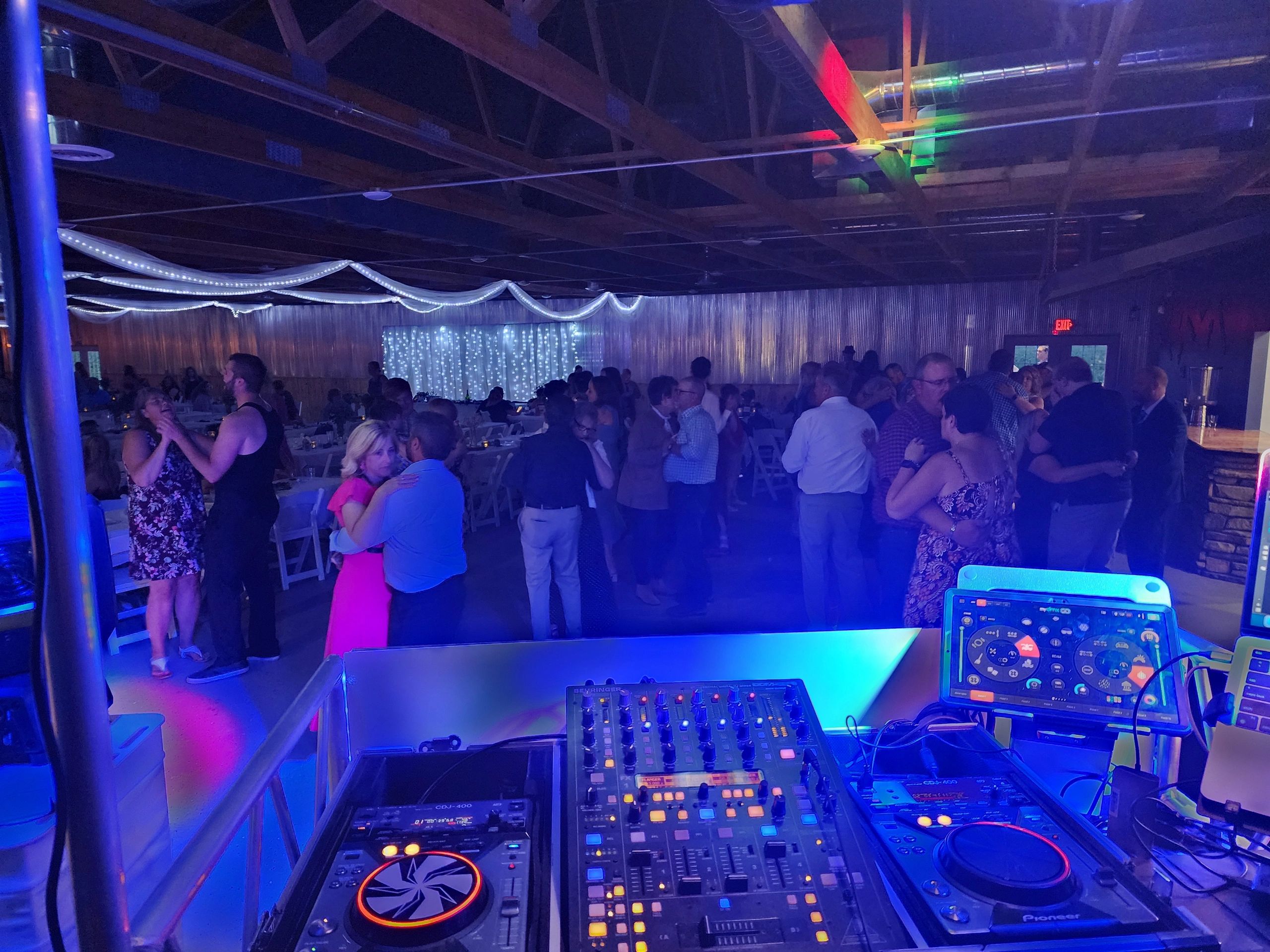 Professional Wedding DJ Services