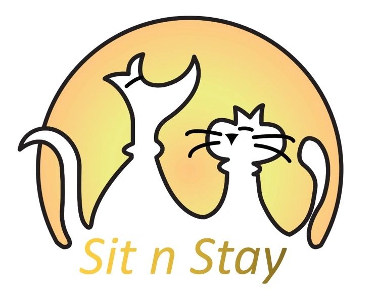 Sit n Stay