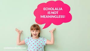 Echolalia, gestalt, what does it all mean?
