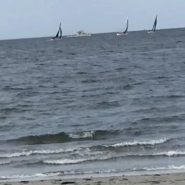 Dr. Sheila Devlin-Craane | Greenwich, CT | Mount Kisco, NY | EMDR Therapy