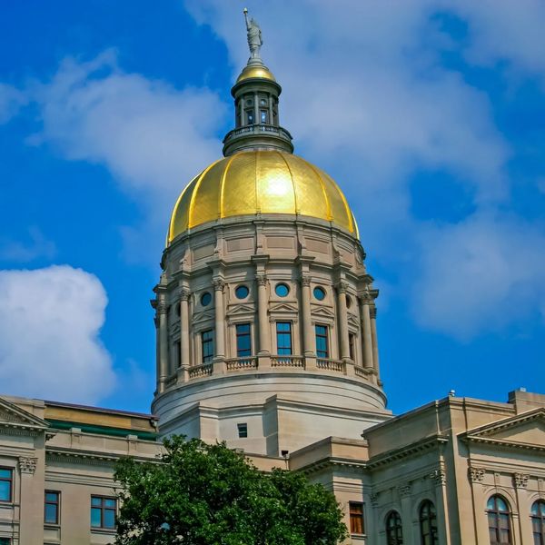 Ensuring Election Integrity: Legal Services for Democracy Task Force Georgia