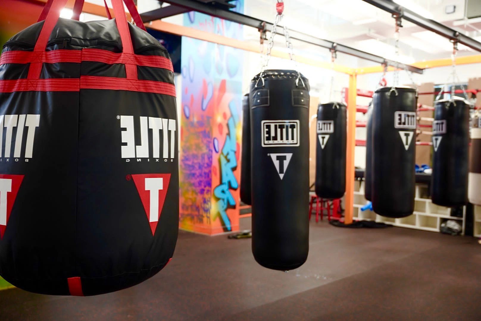 Lion Heart Boxing Gym