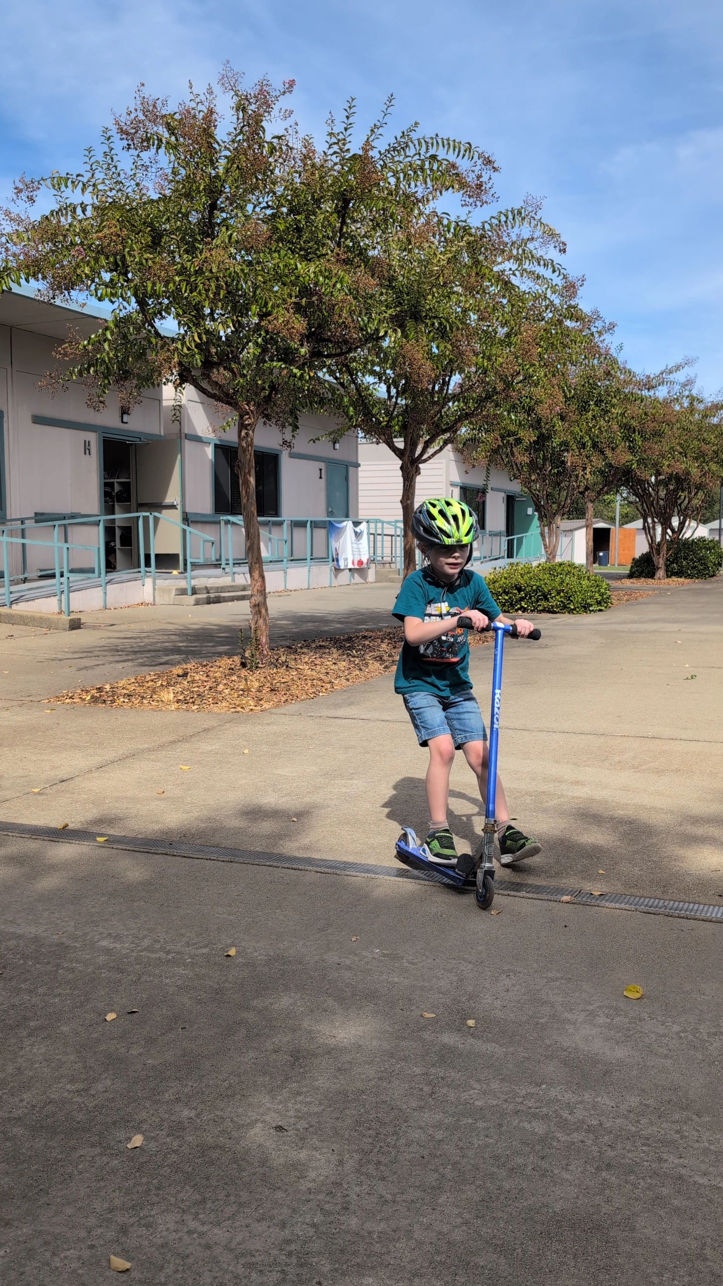 Nurturing the Spark: Why Curiosity is Key for Child's Success