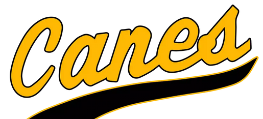 CT Canes Baseball
