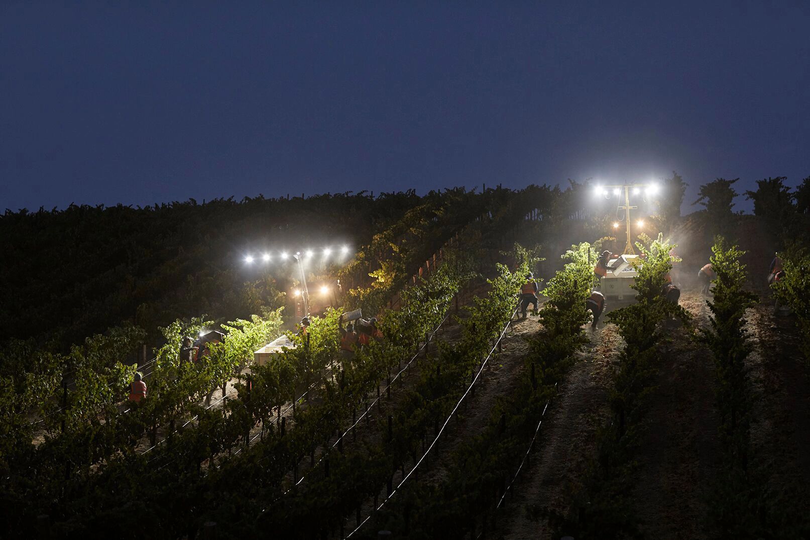 Night Harvest Light Tower