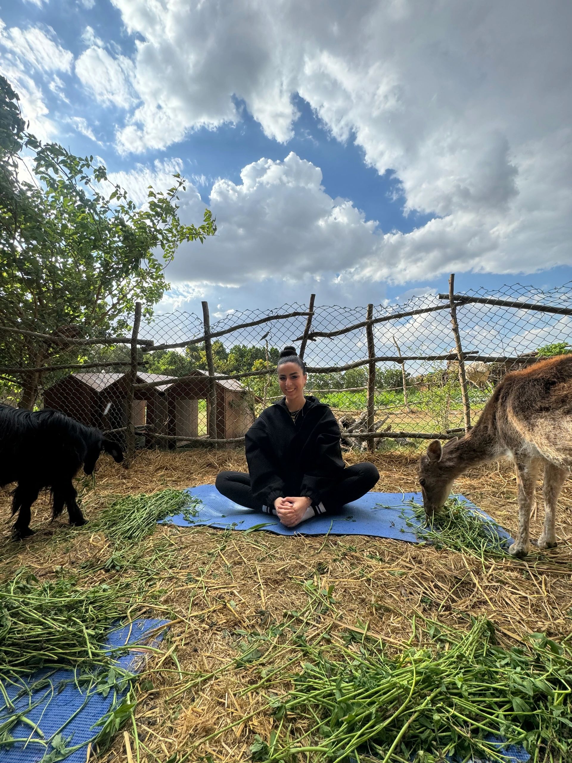 Farm Yoga Flow-Saturday at 4:00 PM
