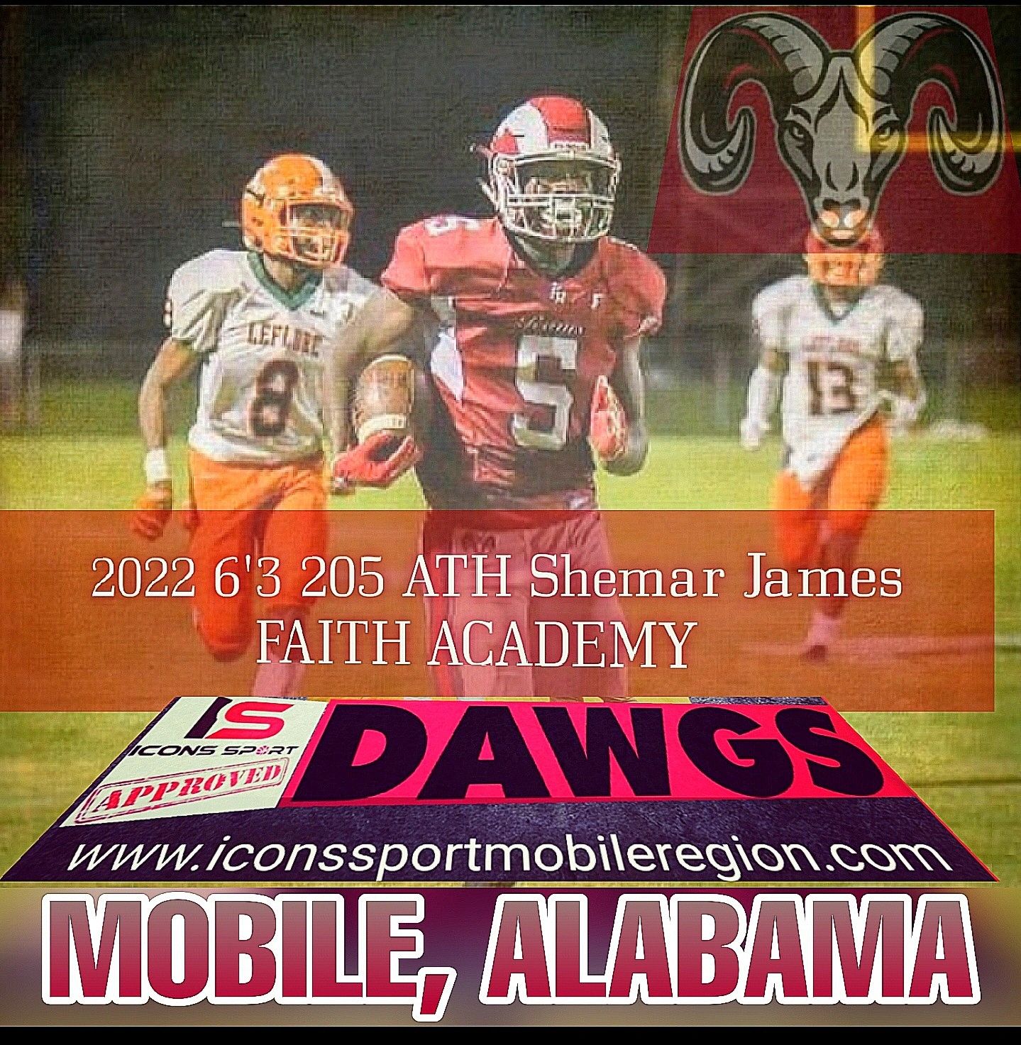 Icons Sport Approved 2022 DAWG POUND: 2022 SHEMAR JAMES