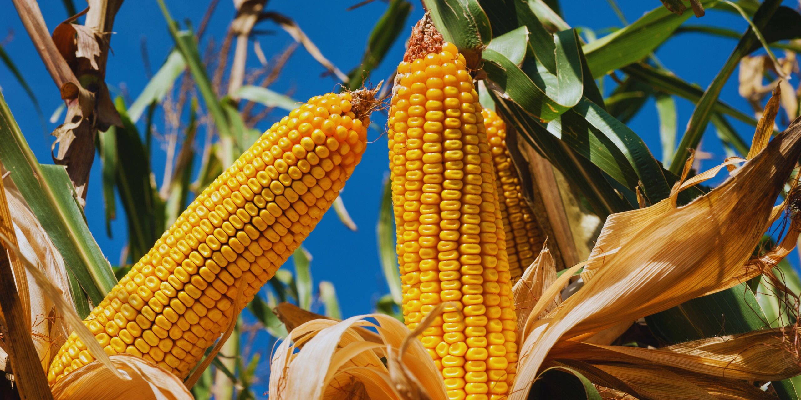 Travel Info | Explore Bucks!