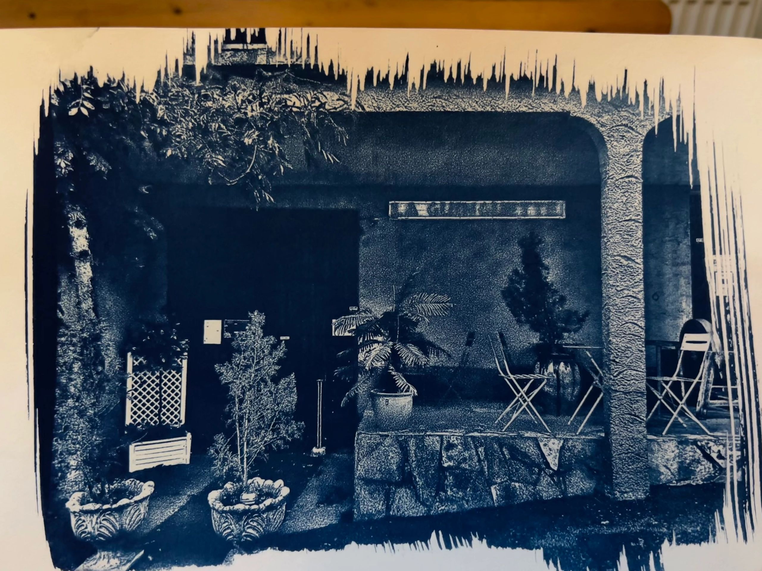 Explore Stunning Cyanotype Photography | Steve's Cyanotypes