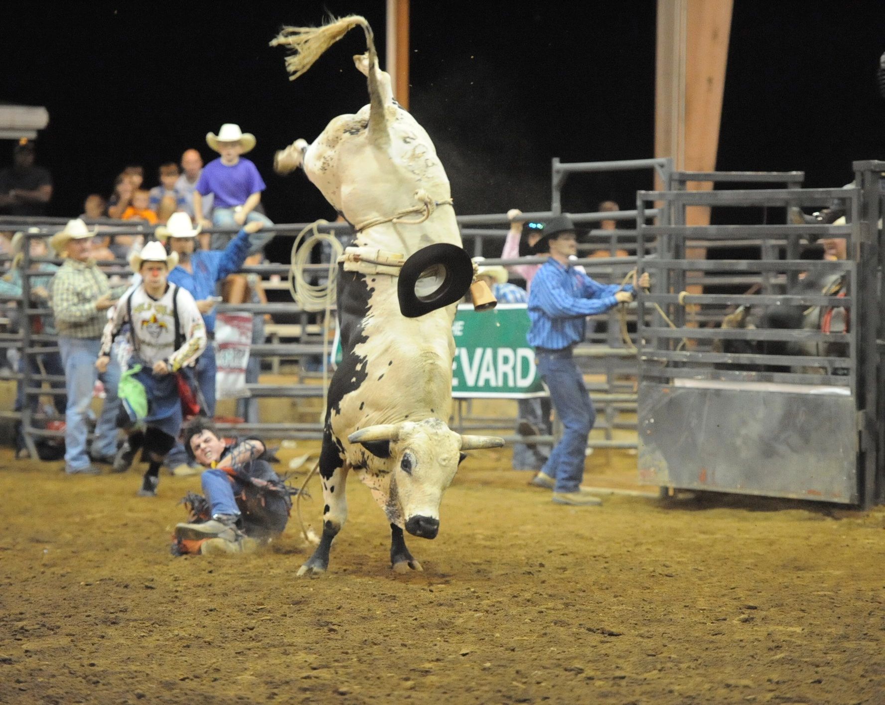 Tangipahoa Parish Pro Rodeo