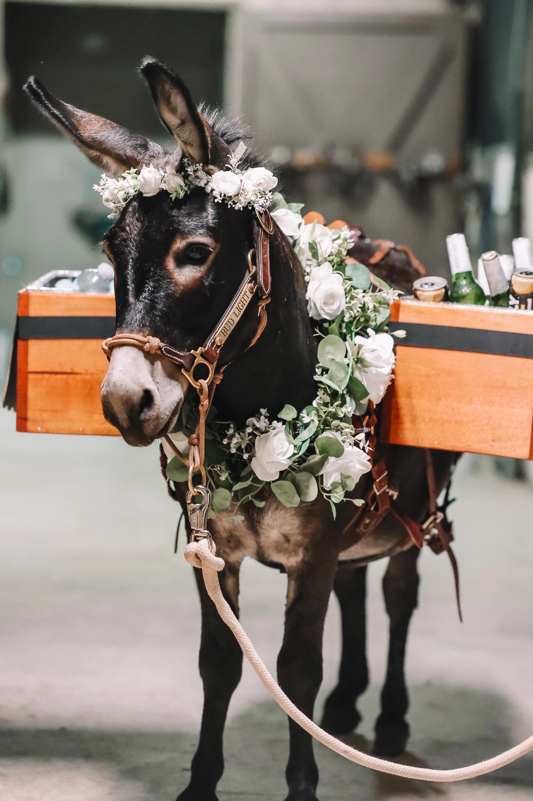 Miami Event Bartender | Bayfront Beverage Burros