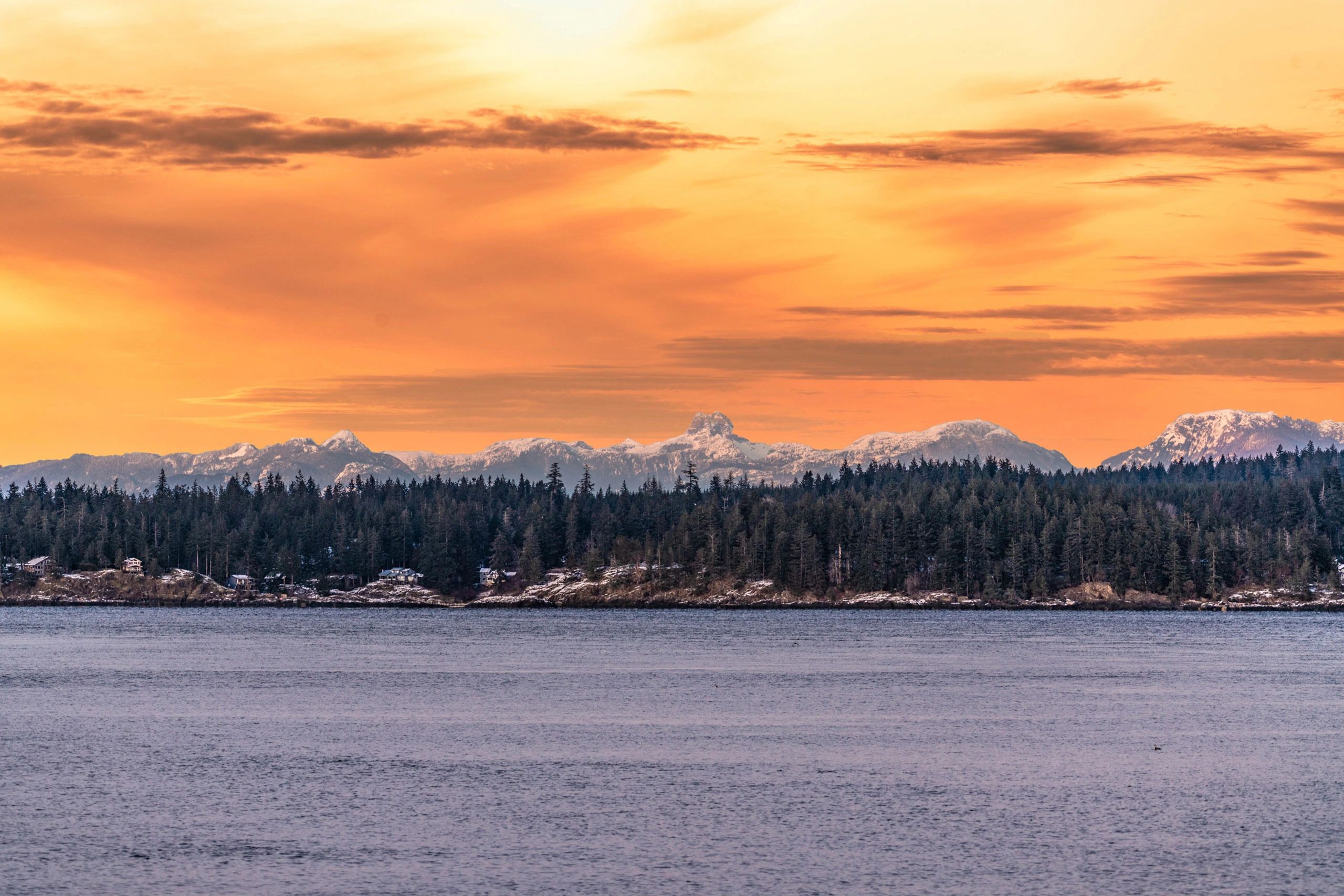 TagUs! - Tapestry Advisory Group