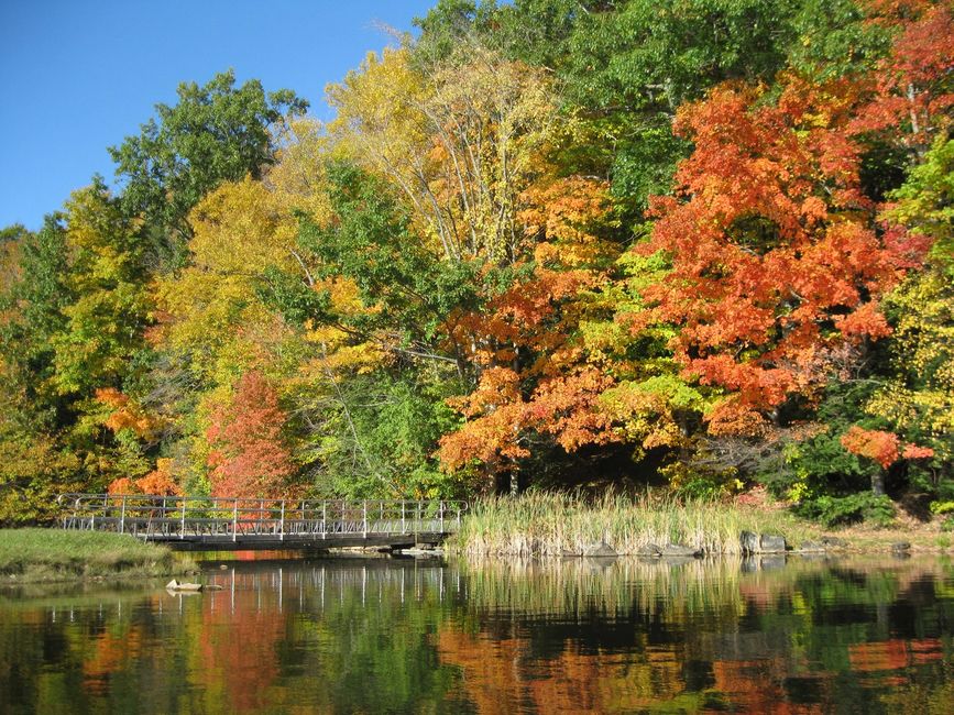 About the Pond | Richmond Pond Association