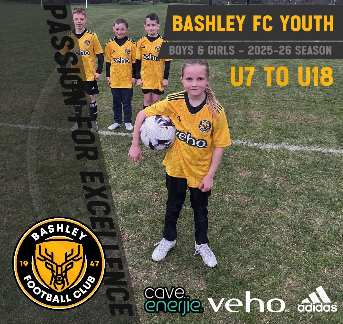 Bashley FC plans for youth section expansion