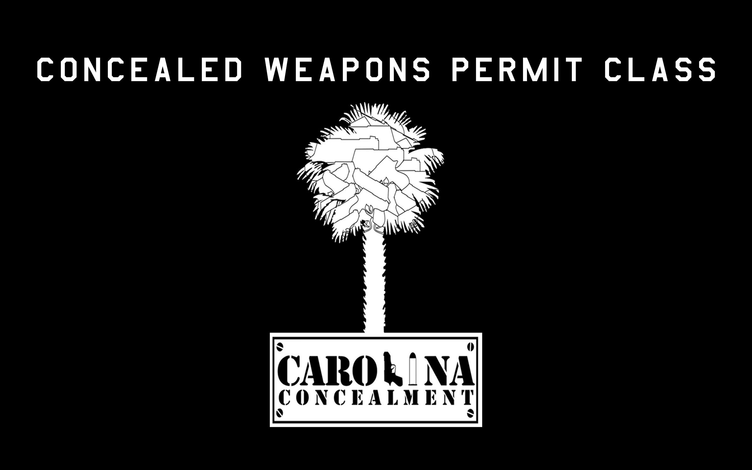Carolina Concealment - Concealed Weapons Permit Class, Gun Rental