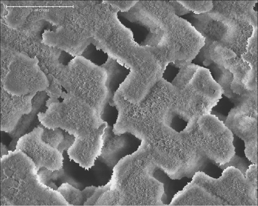 Minnesota Microscopy Society