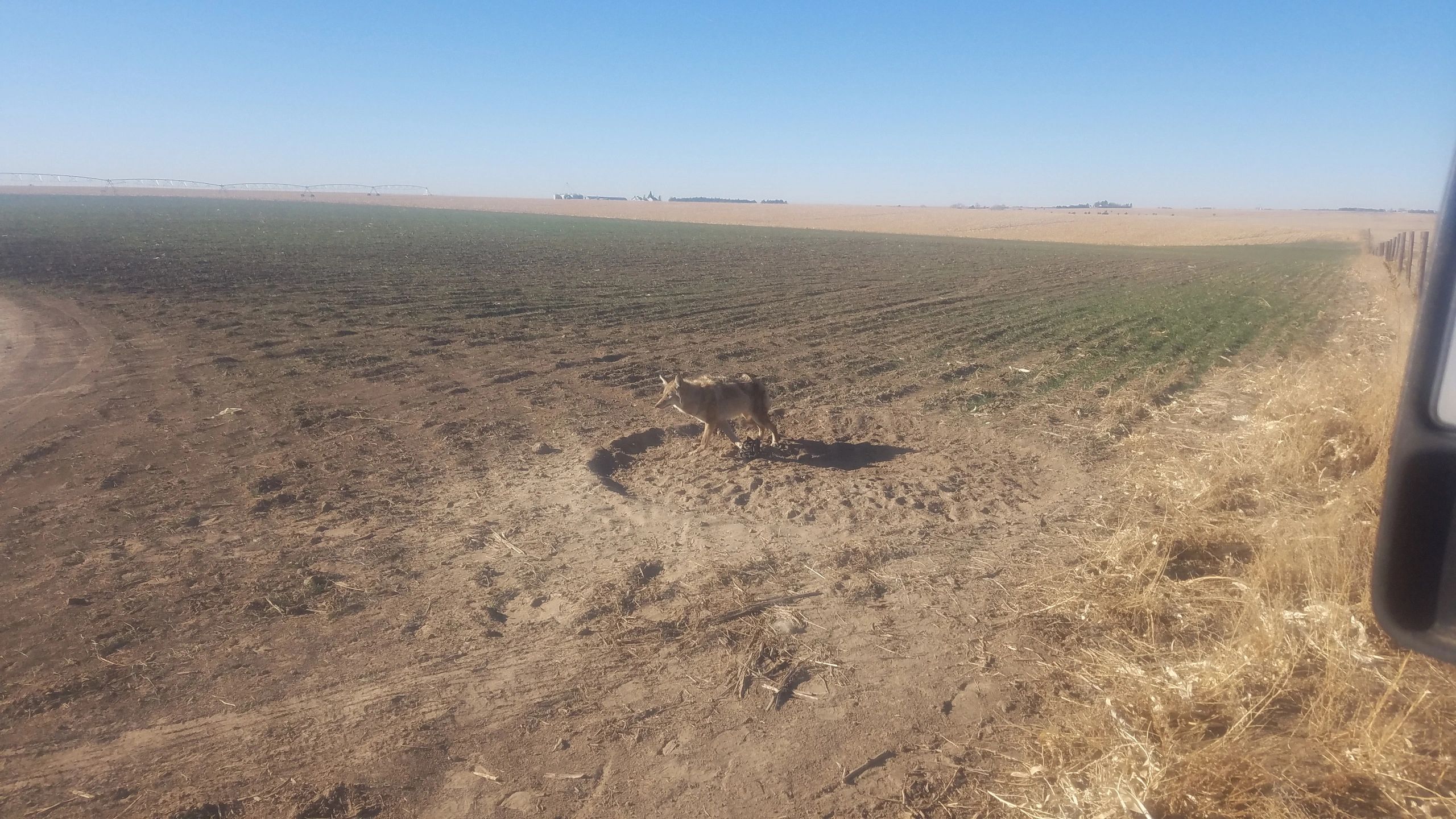 Why Make Visually Loud Sets