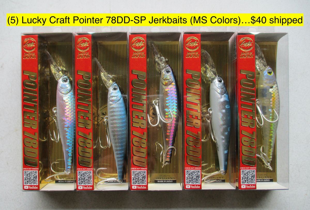 (5) Lucky Craft Pointer 78DD-SP Suspending Jerkbaits (5 diff MS Shad Colors, 3/8 oz each, 3 ...