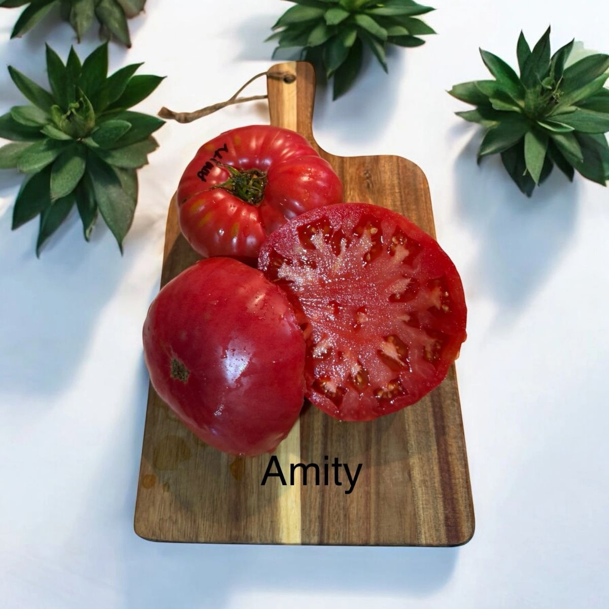 Amity Tomato