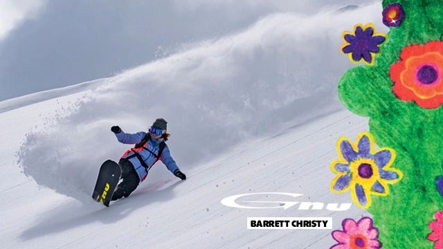 Barrett Christy Cummins