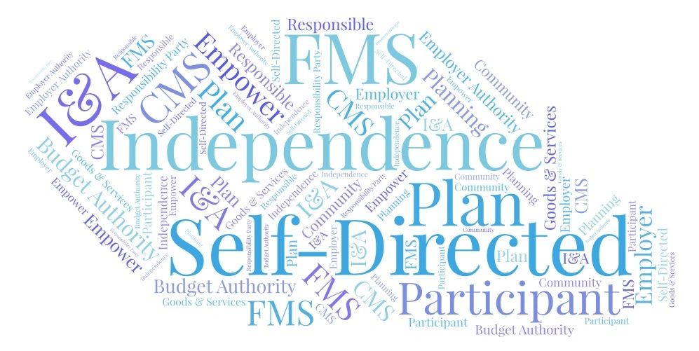 Self Directed Services Consulting