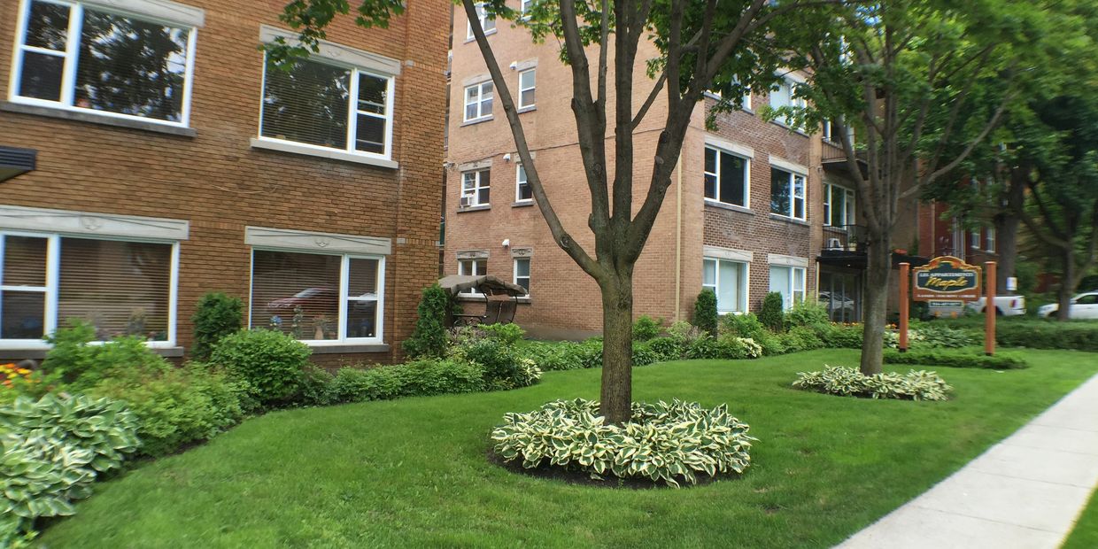 Maple Apts | BDS Investments
