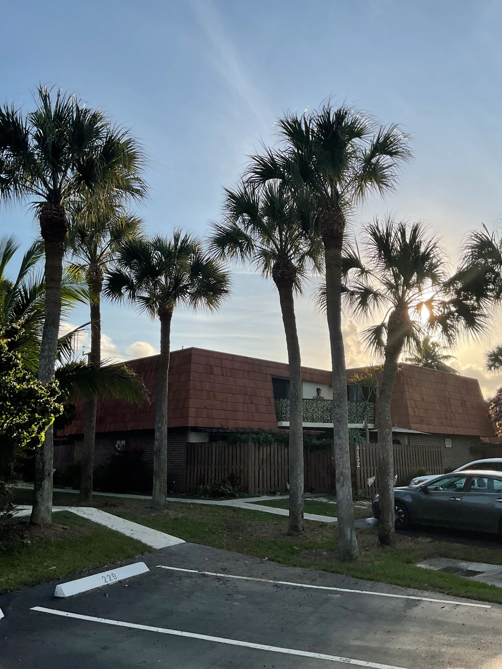 Bolder Tree & Landscaping Services - Home