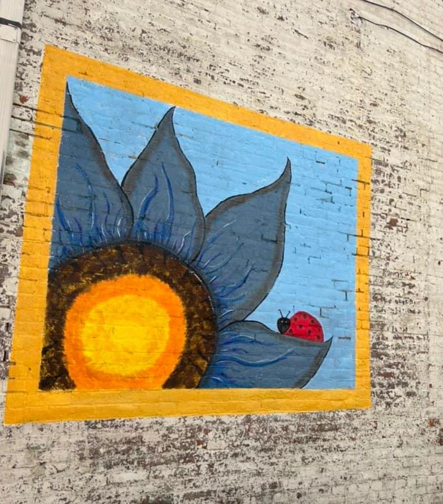 NCT Blooming NOW | NewcomerstownNOW