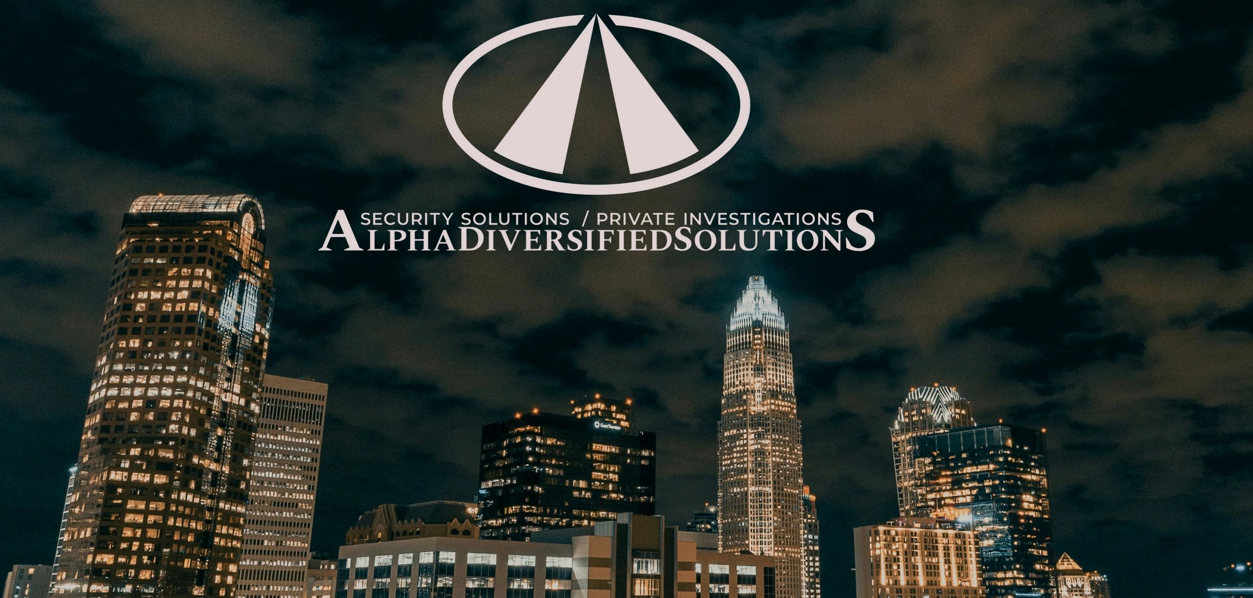 Expert Executive Protection & Security Solutions