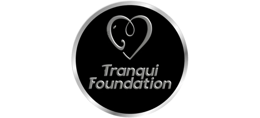 Dance Classes and Latin Dance Events - Tranqui Foundation