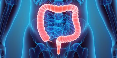 Instituto Mendonça Costa - Clínica de Endoscopia